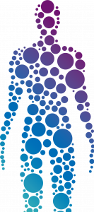 HDR Applicators & Accessories - Oncology Systems Limited